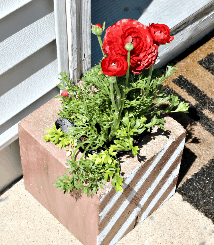 21 Easy DIY Planter Projects For Spring | Artsy Pretty Plants