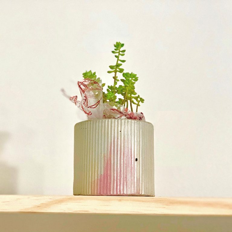 Ribbed DIY Concrete Planter for Christmas - Artsy Pretty Plants