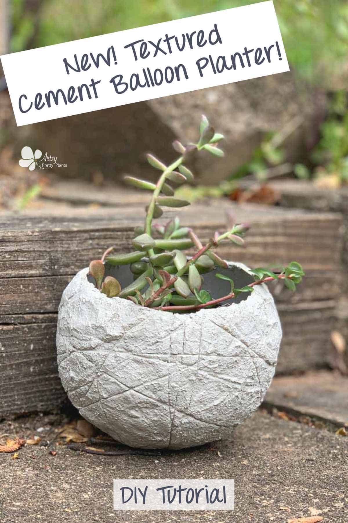 Textured Cement Balloon Bowl Planter | Artsy Pretty Plants