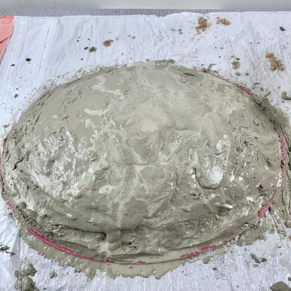 DIY Concrete Butterfly Puddler: Attract Butterflies! - Artsy Pretty Plants