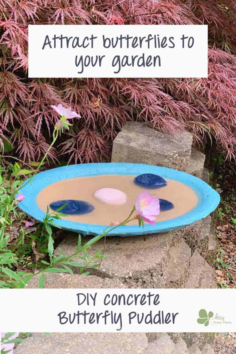 DIY Concrete Butterfly Puddler: Attract Butterflies! - Artsy Pretty Plants