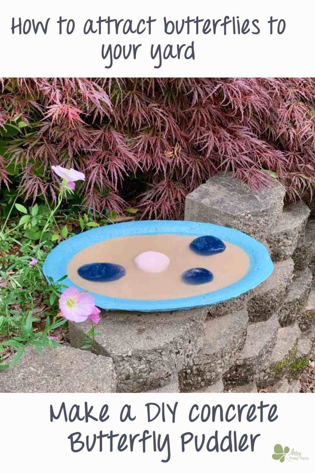 DIY Concrete Butterfly Puddler: Attract Butterflies! - Artsy Pretty Plants