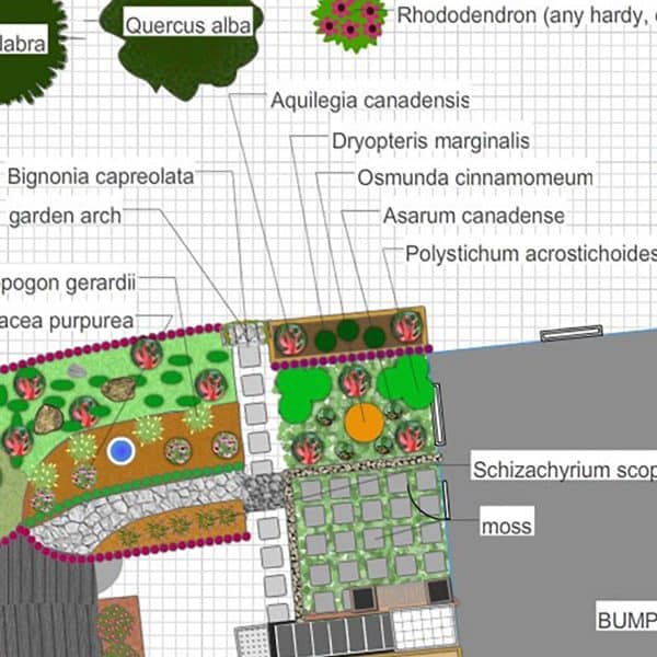 Design A Native Plant Garden (Easy Starter Tips) - Artsy Pretty Plants