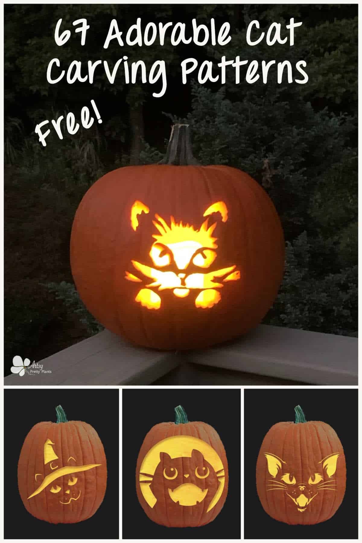 Cat In The Hat Pumpkin Decorating Ideas - Broadwater Uterming