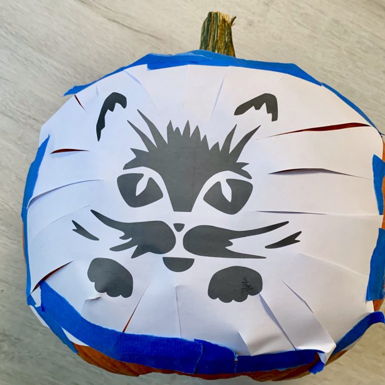 How To Make A Cute Cat Jack O’ Lantern DIY - Artsy Pretty Plants