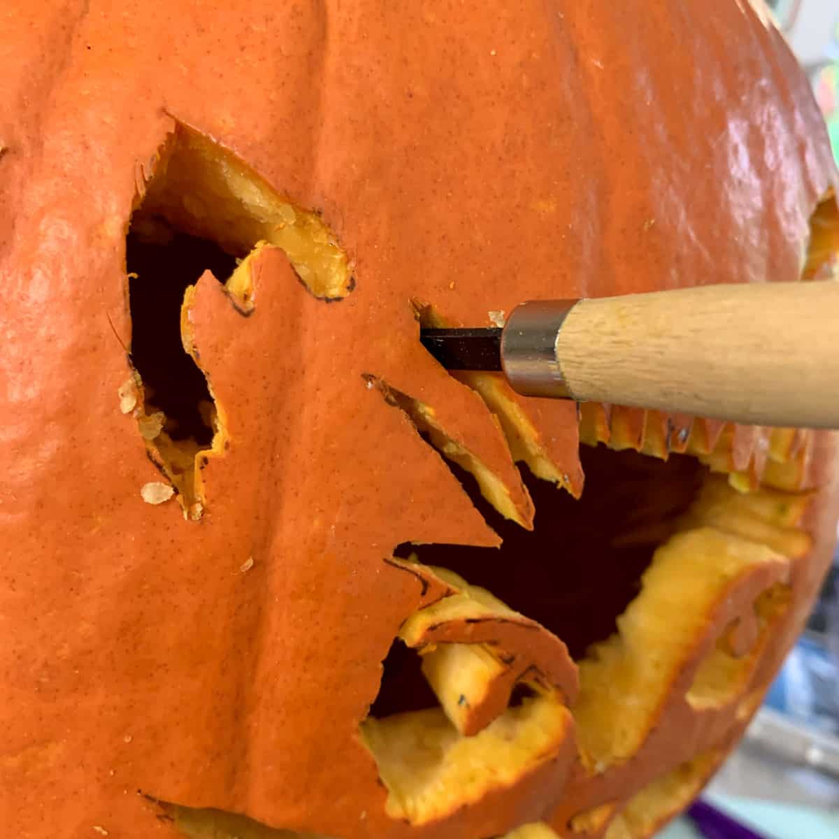 How To Make A Cute Cat Jack O’ Lantern DIY - Artsy Pretty Plants