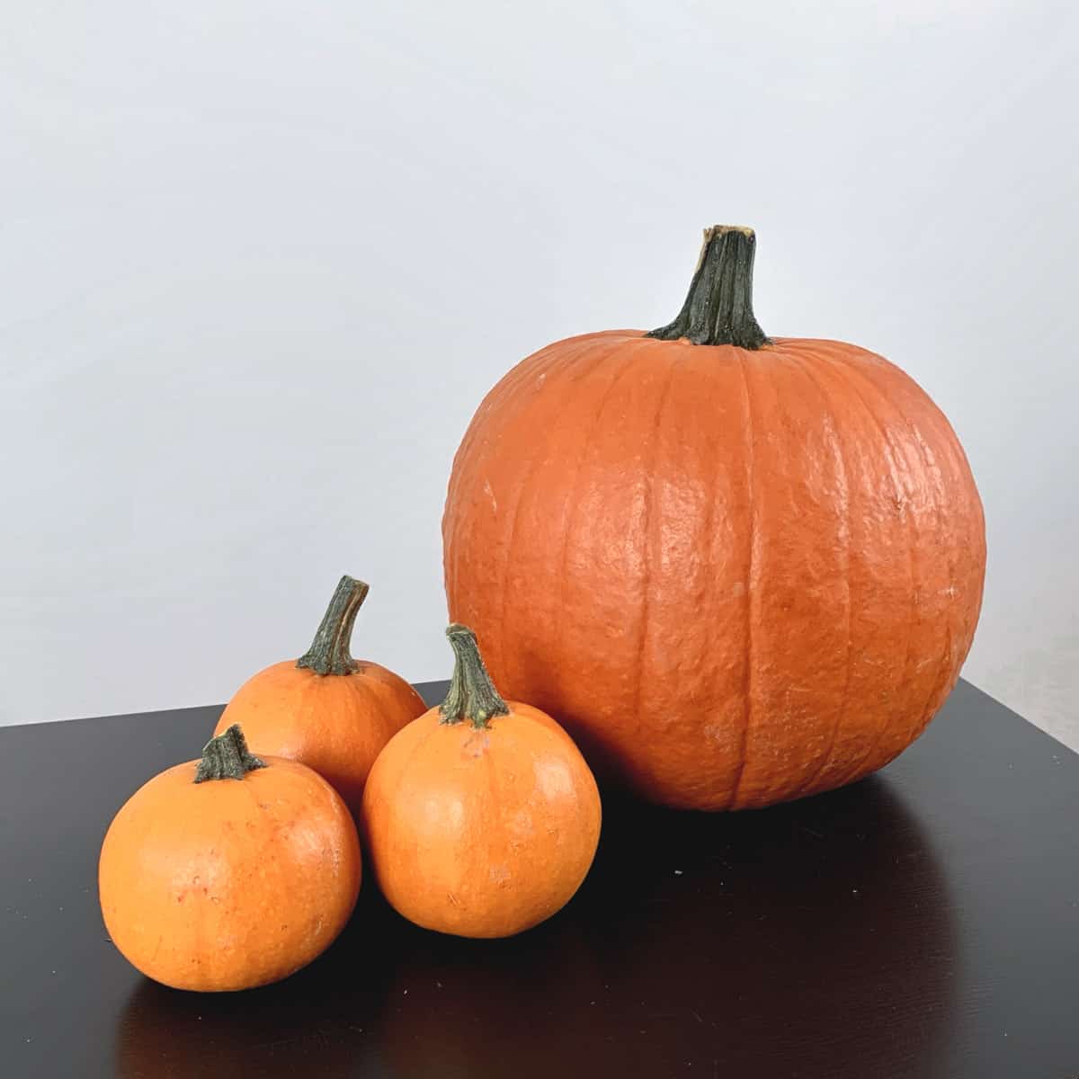 31 Mini Pumpkin Stencils For Carving - Artsy Pretty Plants