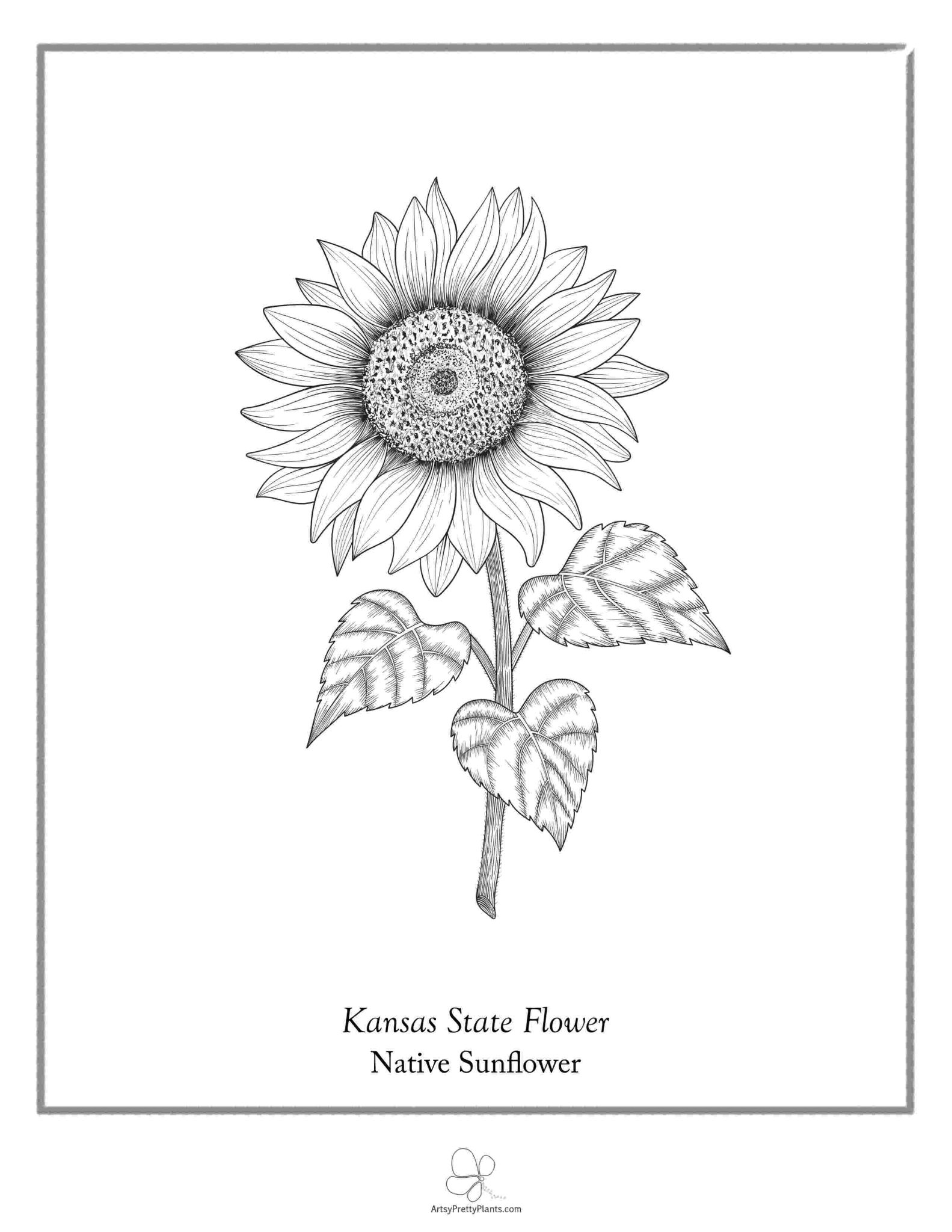 47 Best Flower Coloring Sheets For Free - Artsy Pretty Plants