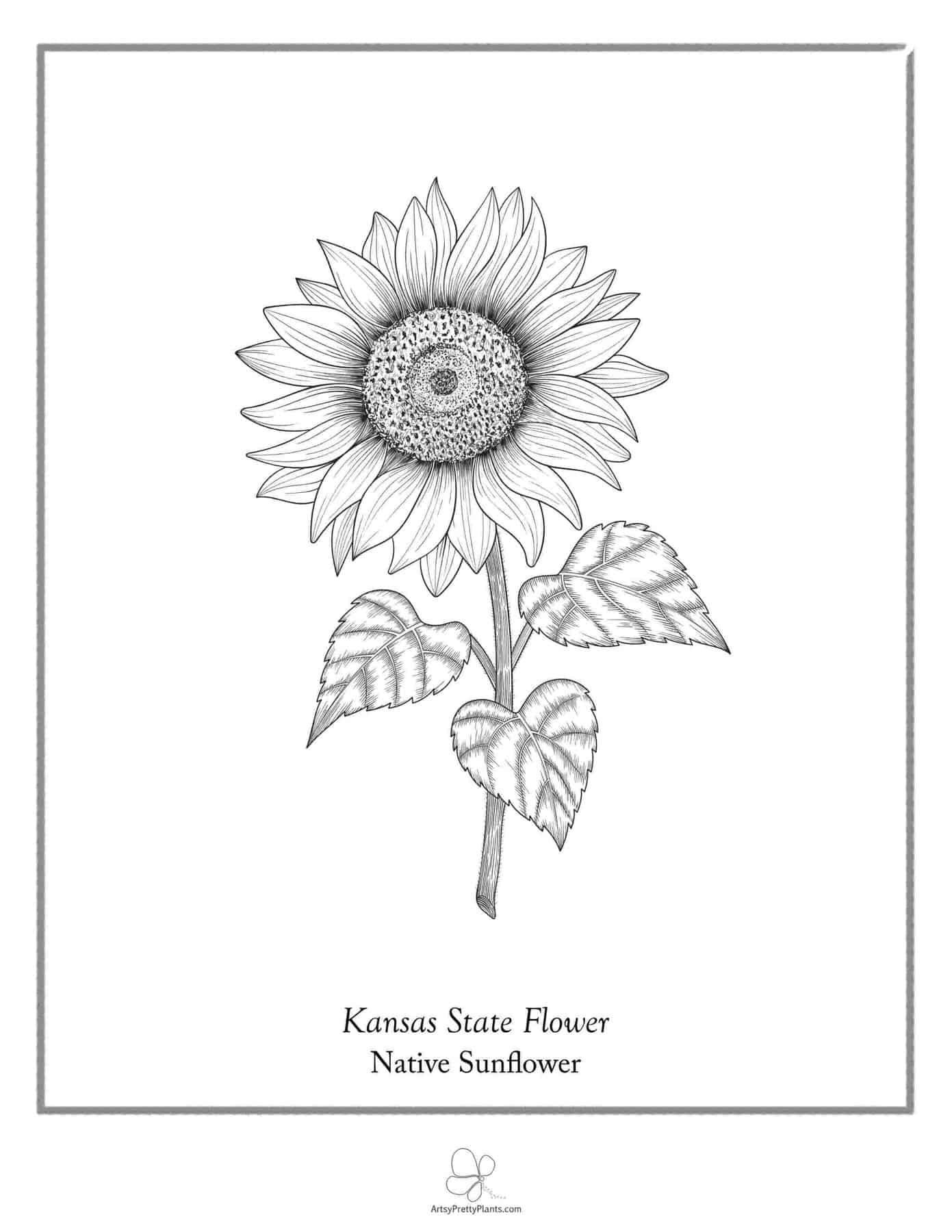 47 Best Flower Coloring Sheets For Free - Artsy Pretty Plants