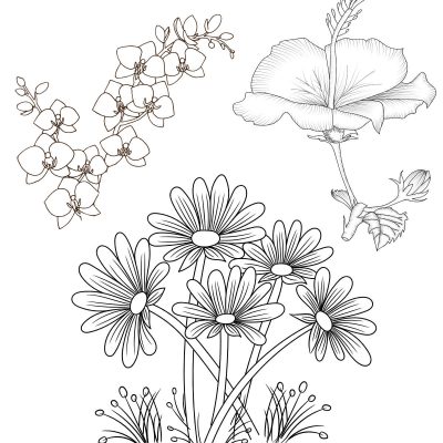 47 Best Flower Coloring Sheets For Free - Artsy Pretty Plants