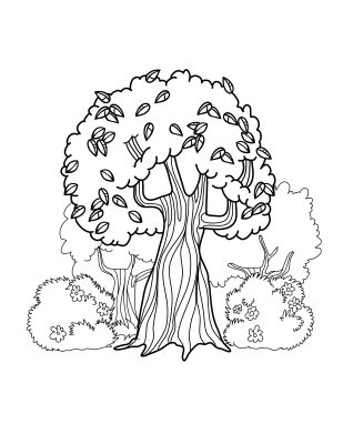 19 Coloring Pages of Plants –For Free - Artsy Pretty Plants