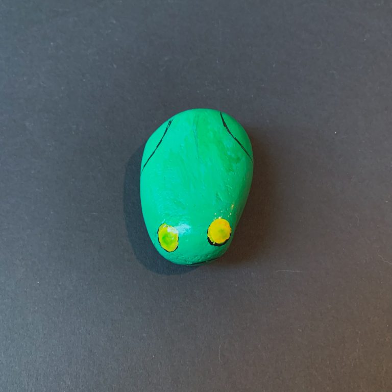 DIY Cute Painted Frog Rock - Artsy Pretty Plants