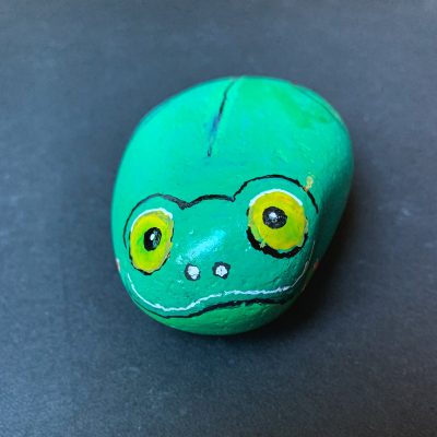 DIY Cute Painted Frog Rock - Artsy Pretty Plants