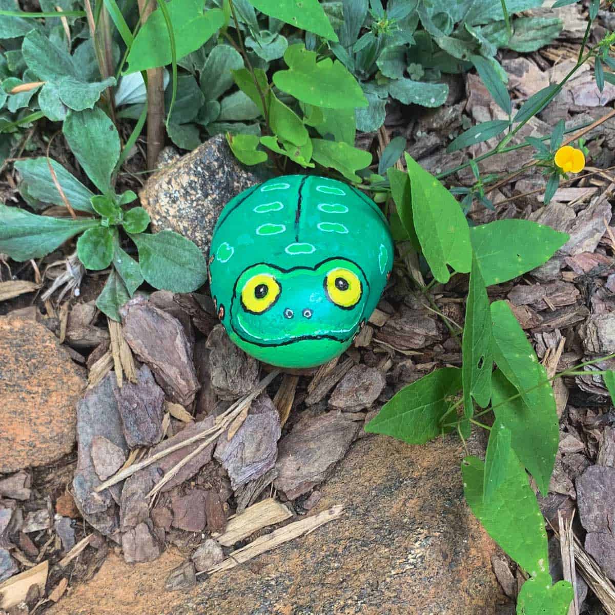 DIY Cute Painted Frog Rock - Artsy Pretty Plants