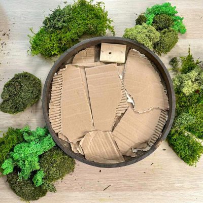 Make Beautiful DIY Moss Wall Art - Artsy Pretty Plants