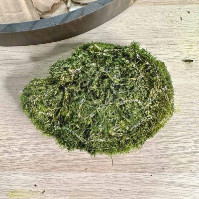 Make Beautiful DIY Moss Wall Art - Artsy Pretty Plants