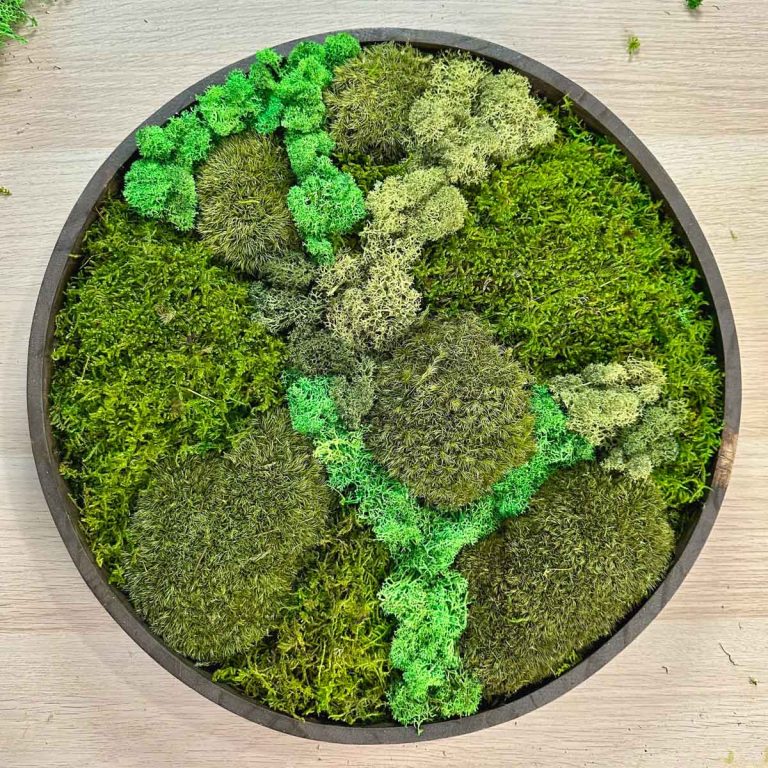 Make Beautiful DIY Moss Wall Art - Artsy Pretty Plants