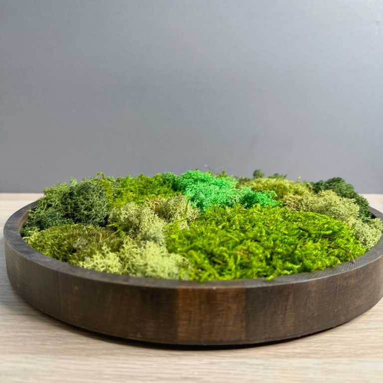 Make Beautiful DIY Moss Wall Art - Artsy Pretty Plants