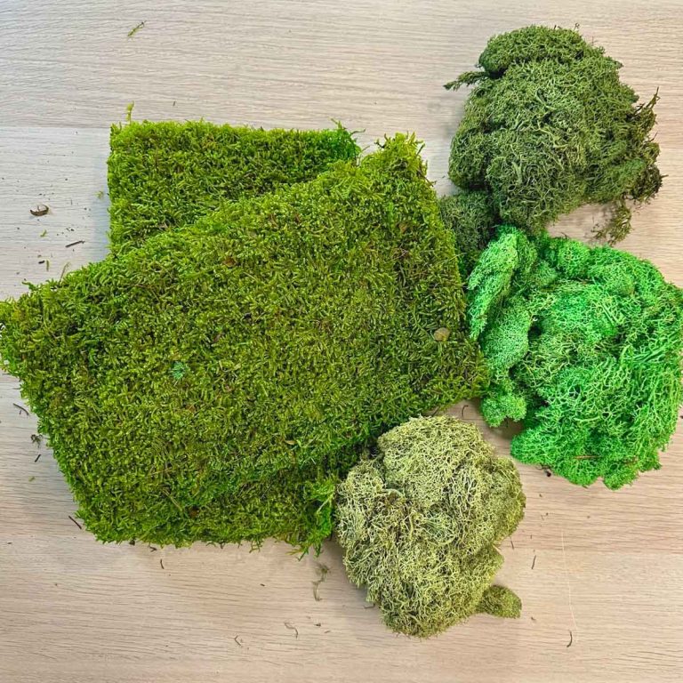 Make Beautiful DIY Moss Wall Art - Artsy Pretty Plants