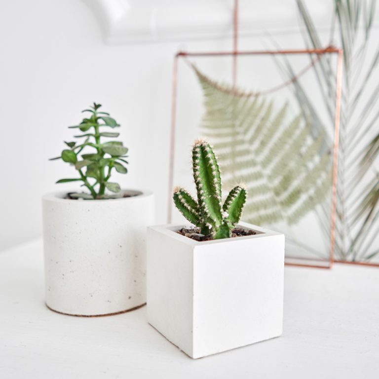Make DIY Concrete Bricks (That Look Real) - Artsy Pretty Plants