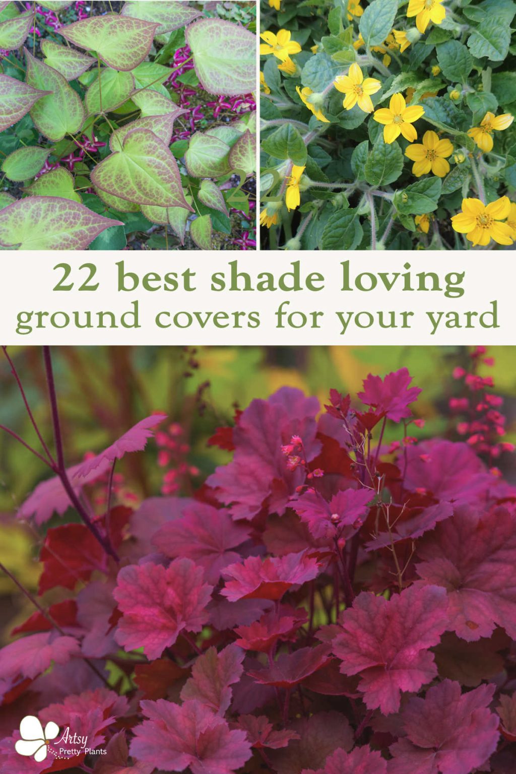 23 Ground Cover Plants For Shade (That Add Texture) - Artsy Pretty Plants