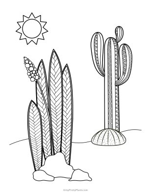 27 Free Cactus Coloring Pages (Printable PDFs) - Artsy Pretty Plants