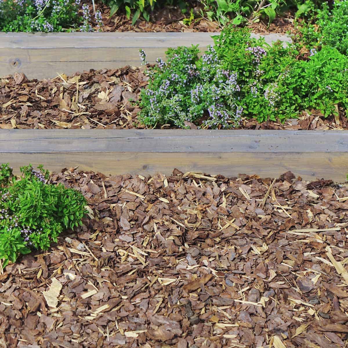 Are Wood Chips Good For Compost (The Benefits) - Artsy Pretty Plants