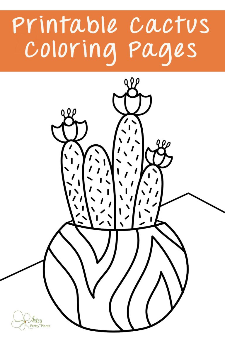 27 Free Cactus Coloring Pages (Printable PDFs) - Artsy Pretty Plants