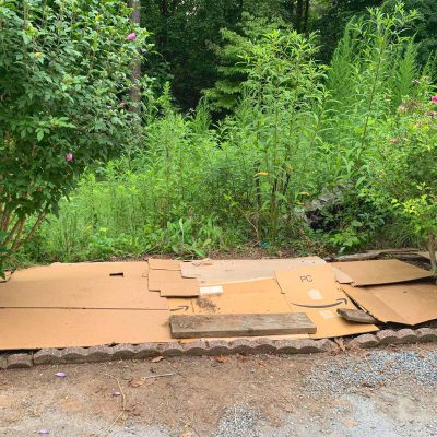 How To Compost Cardboard: Our Best Tips - Artsy Pretty Plants