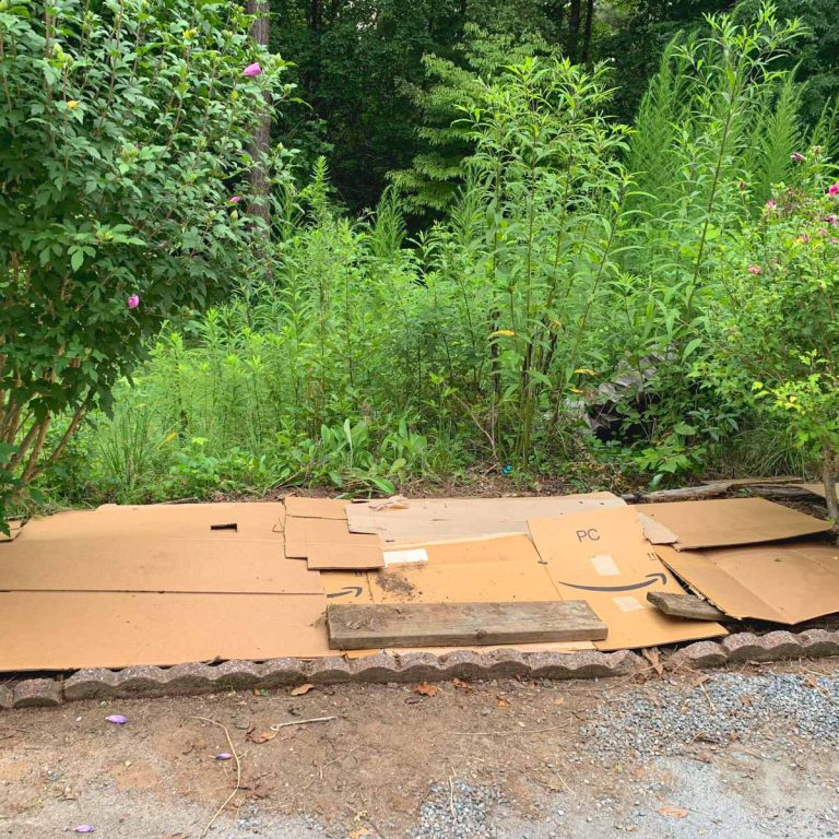 How To Compost Cardboard: Our Best Tips - Artsy Pretty Plants